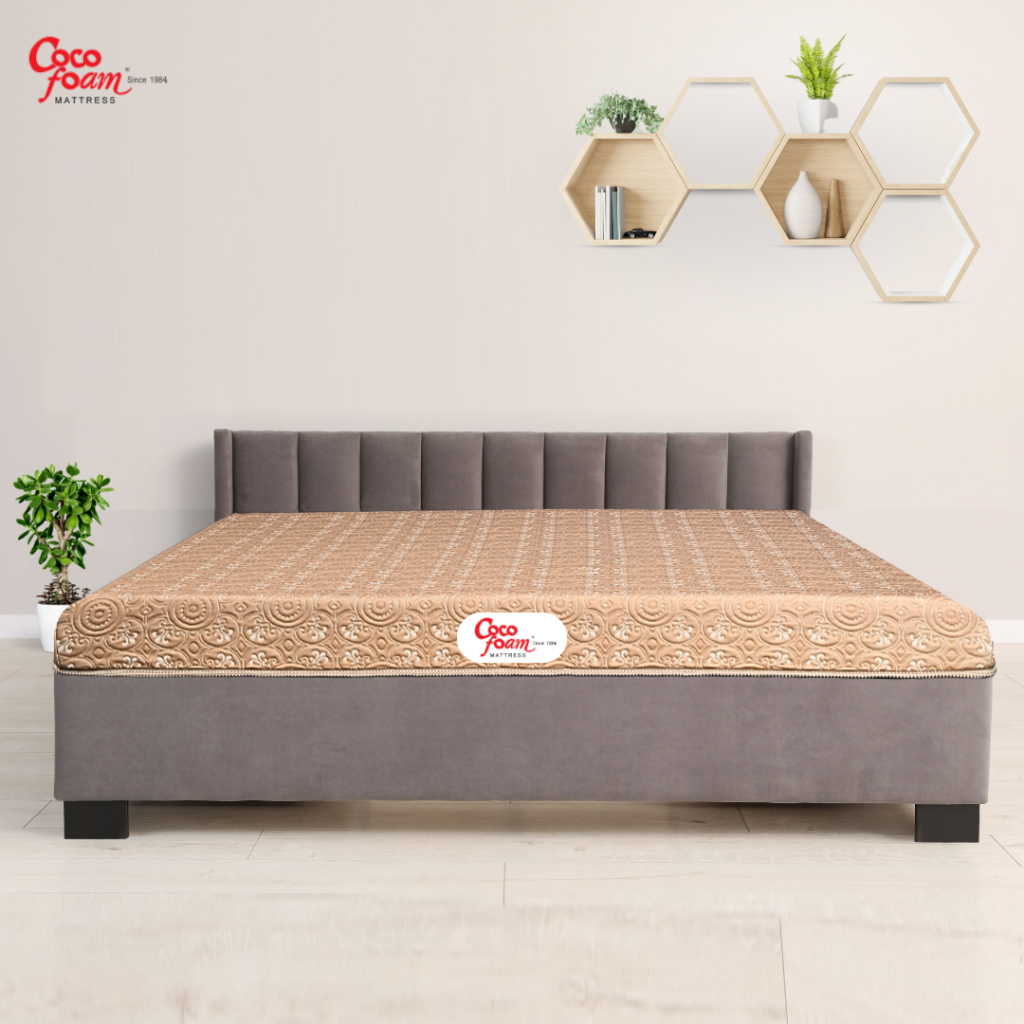 Shop – Coco foam